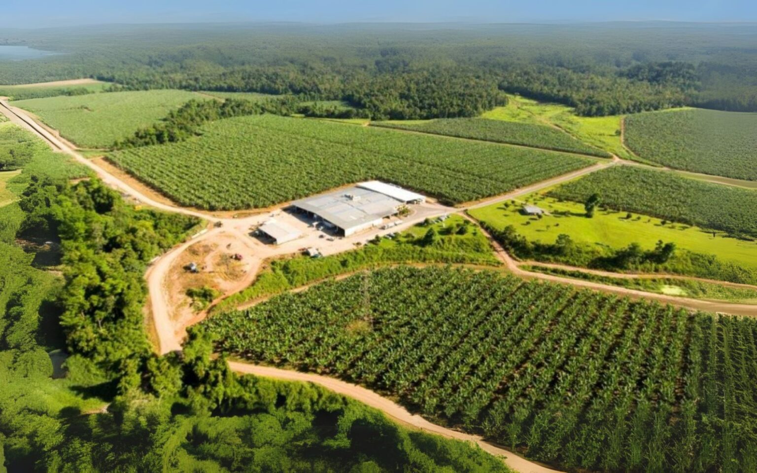 Tropical Cyclone Alfred Threatens Agricultural Supply Chains in ...