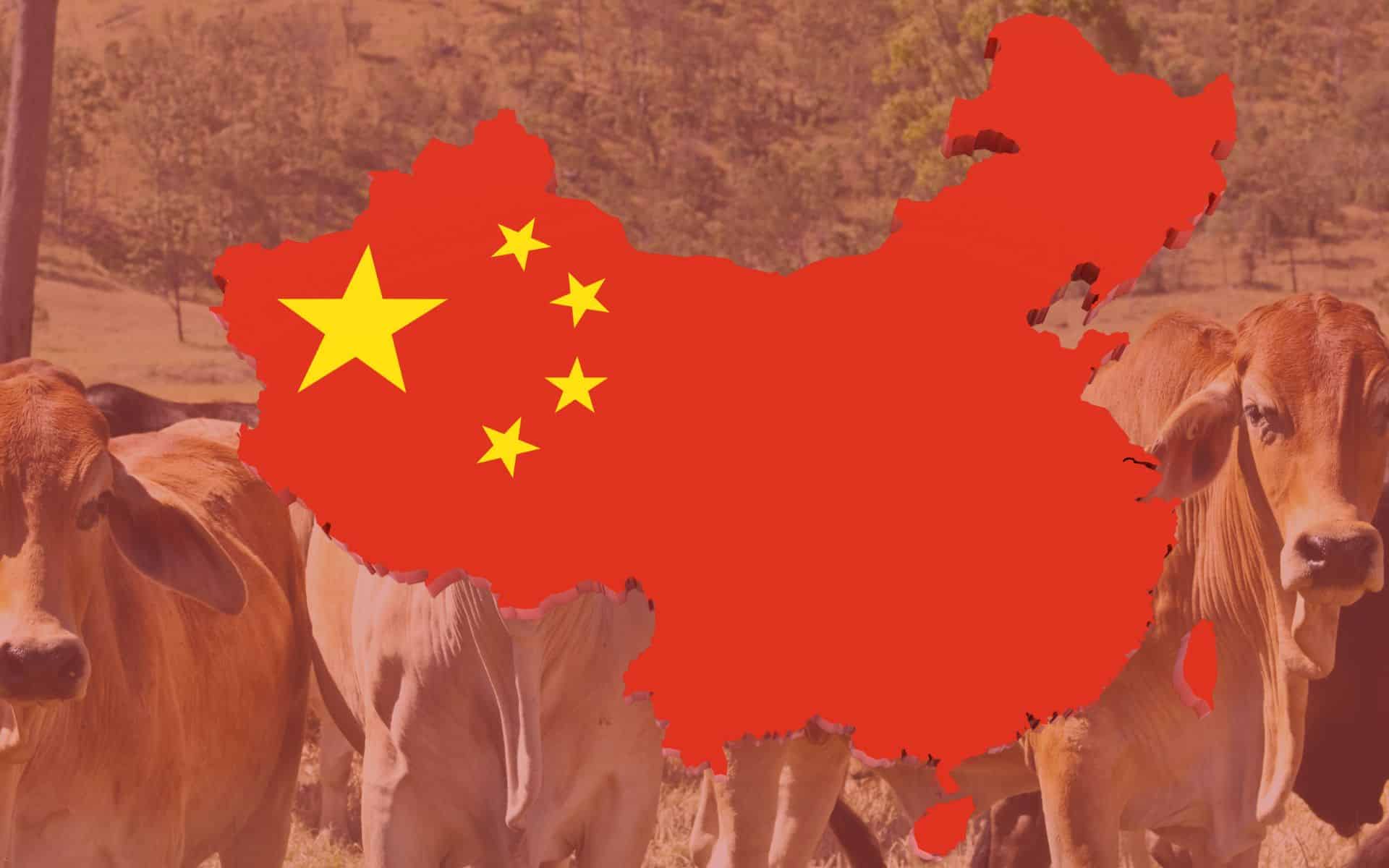 US Beef Exports to China Halted as Australian Exports Rise