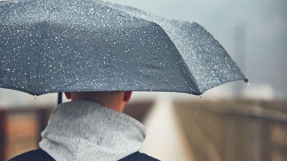 The Unexpected Rainfall That Could Change Everything for South ...