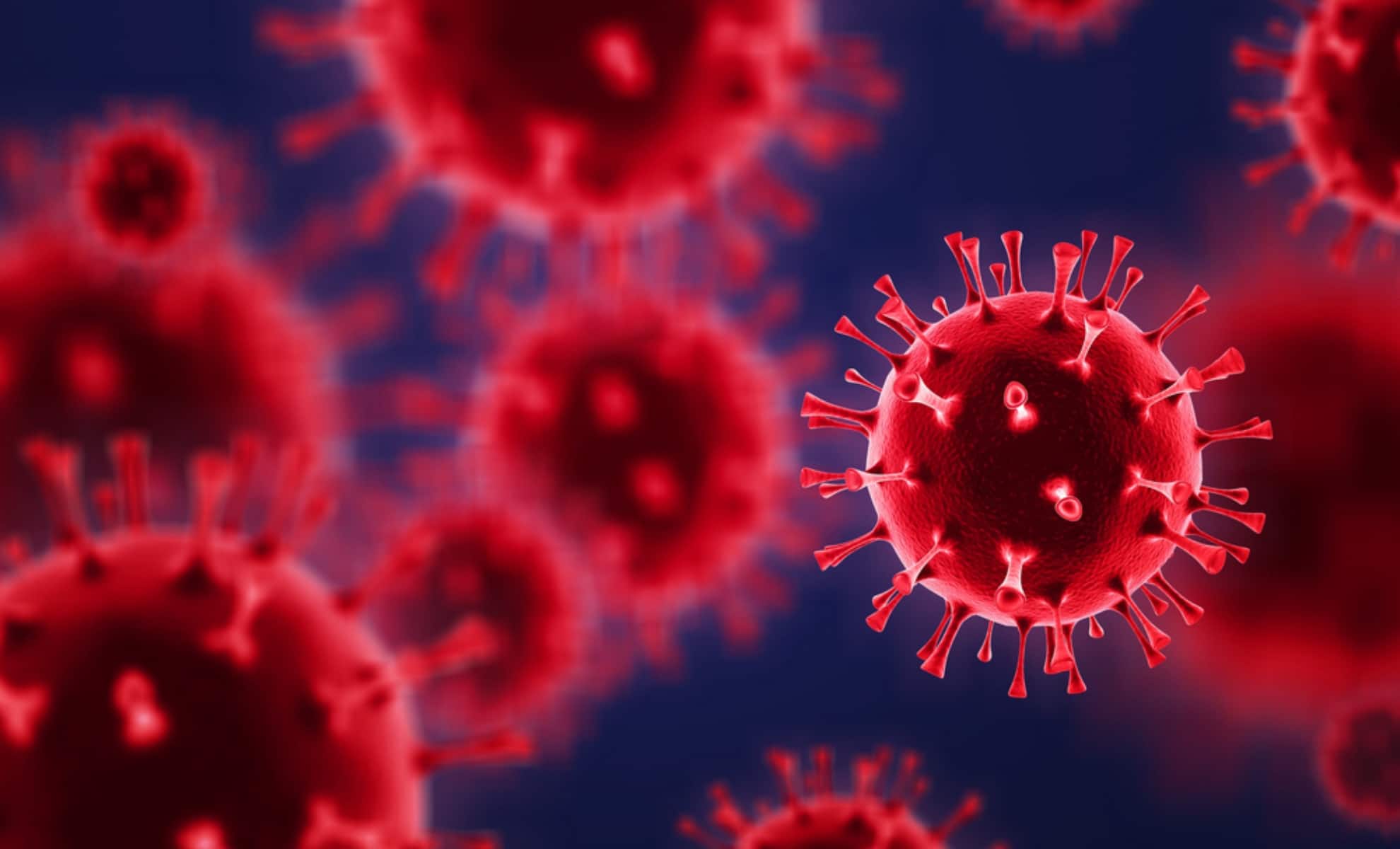 Victoria on Alert: Deadly Disease Found in Horsham