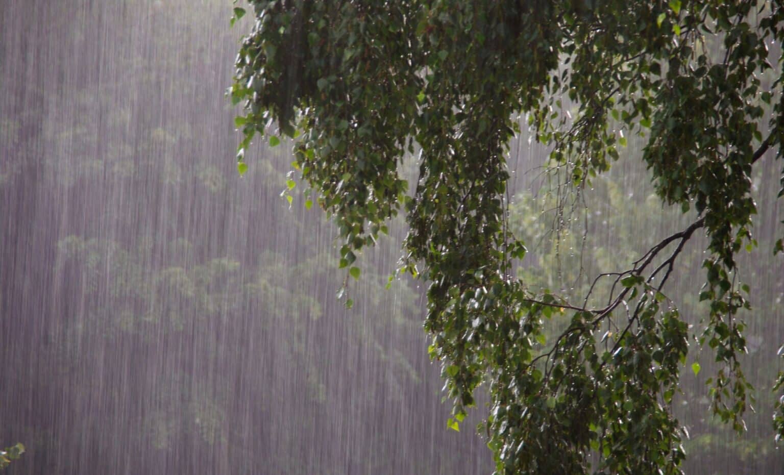 UK's Rare Freezing Rain Storm: 50-Mile Stretch Trapped in Icy Grip
