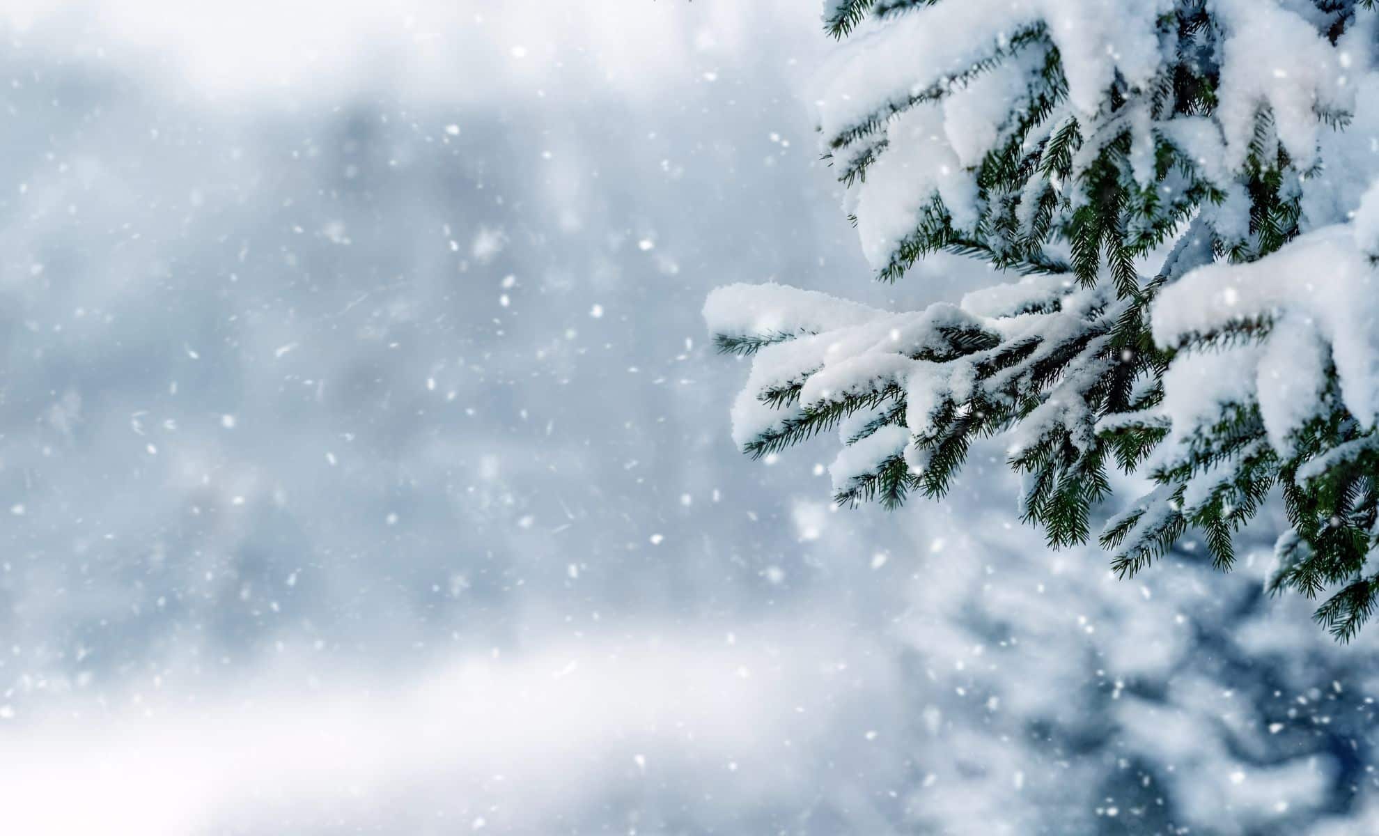 UK Arctic Blast Incoming: Temperatures Set to Plummet as 10-Inch ...