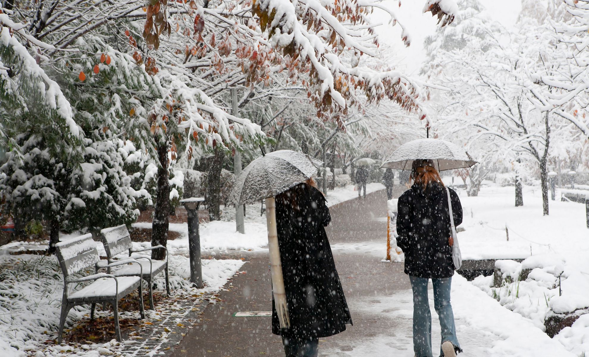 Met Office Updates 10-Day Forecast as Snow Targets Northern UK