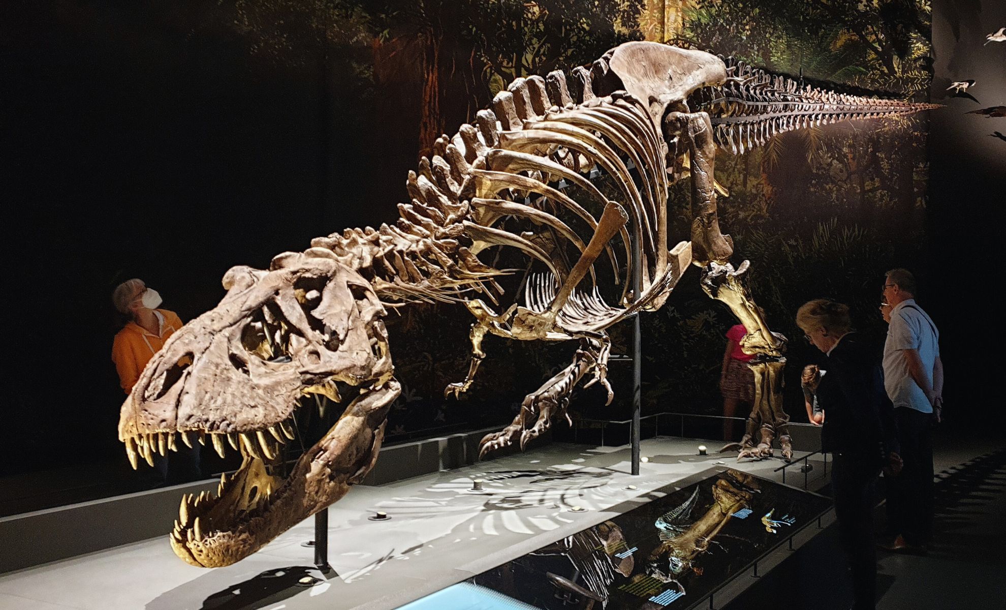 135 Million-Year-Old Dinosaur Teeth Discovered in East Sussex: What ...