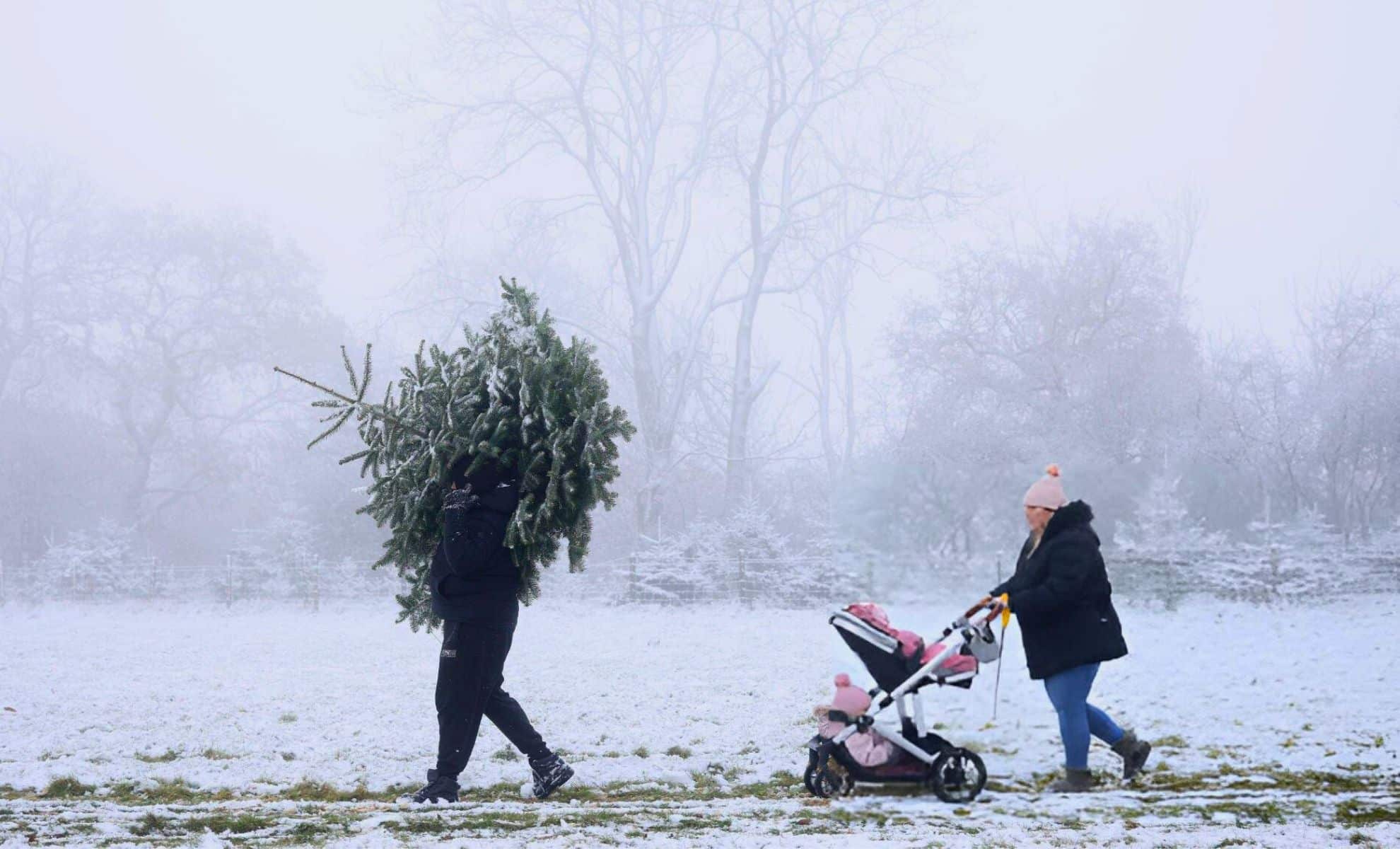 Christmas Weather: Long-Range Forecast Shows Snowstorm Will Bring White ...