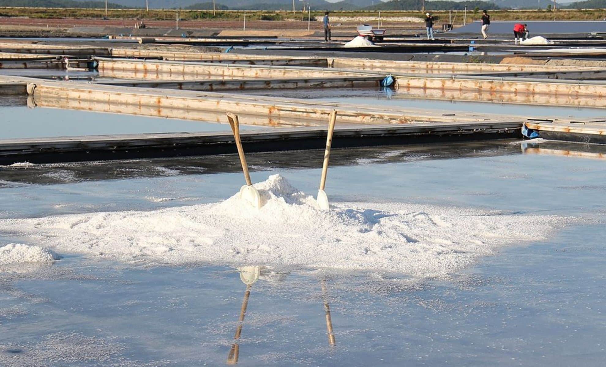 US Takes Action Against South Korean Salt Farm Over Forced Labour Issues