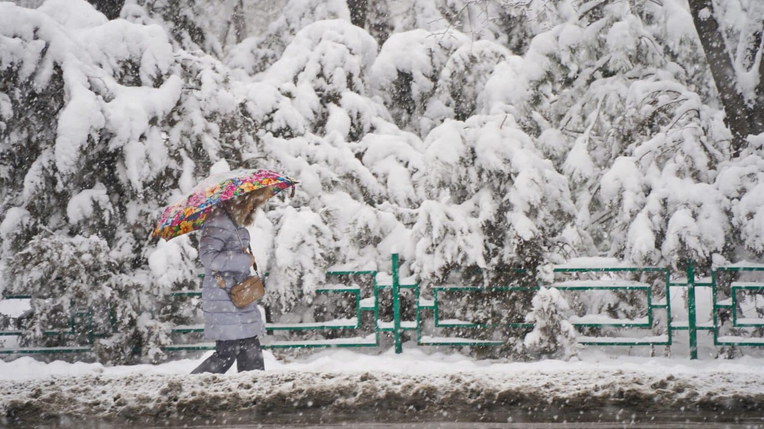 Winter Weather Update: Forecast Maps Highlight Regions at Highest Risk ...