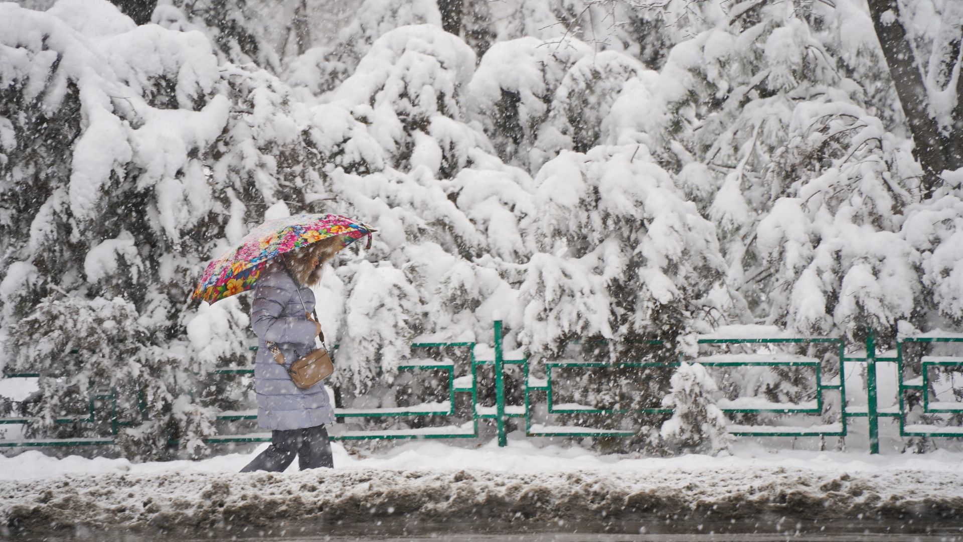 Winter Weather Update: Forecast Maps Highlight Regions at Highest Risk ...