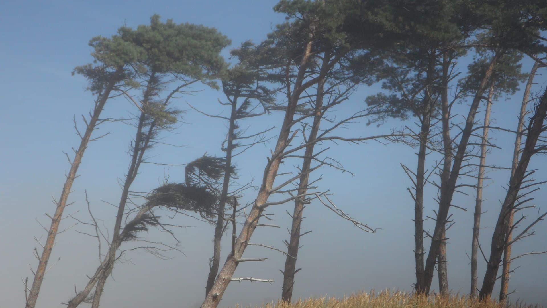 100 MPH Winds Could Tear Through These 4 States—Is Your City on the List?