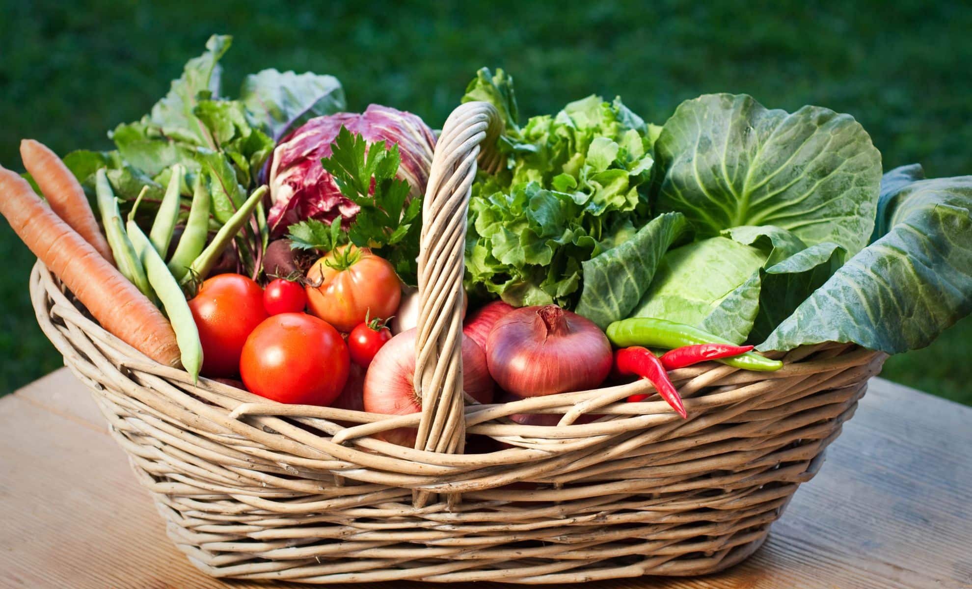 SNAP Florida: Who Gets Their Payments in the First Week of September 2025?